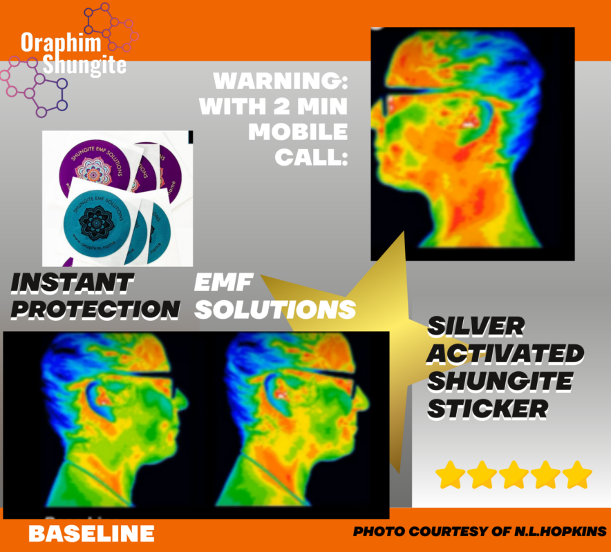 Shungite EMF Protection Stickers & Book -Powerful Instantly Effective ...